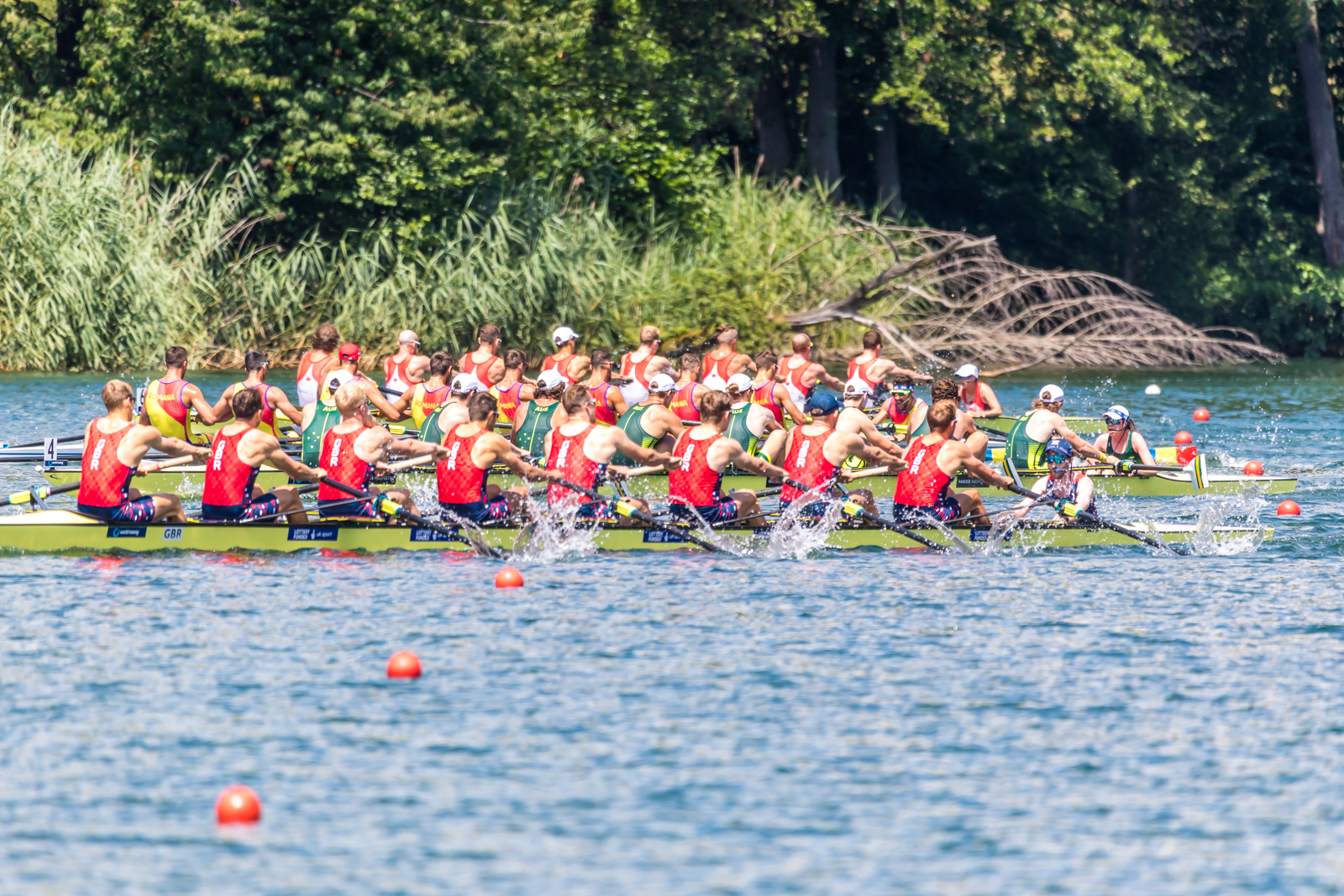 Hochstehender Rudersport am Finaltag der LUCERNE REGATTA - Lucerne Regatta